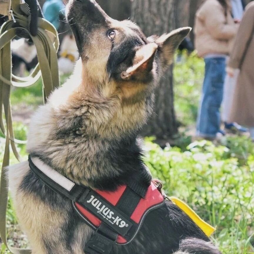Юджин в поиске своей семьи