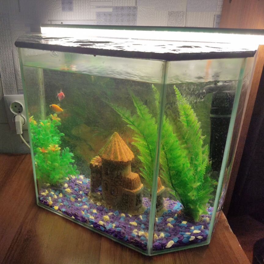 Аквариум 40л с рыбками и принадлежностями