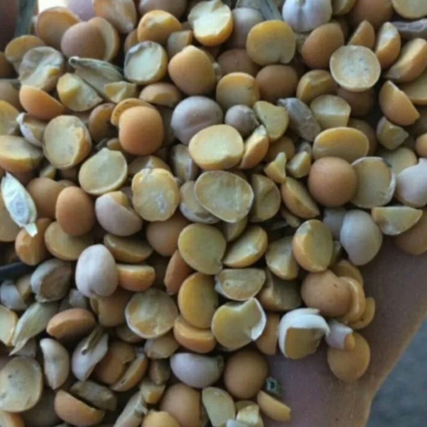 Половинки гороха