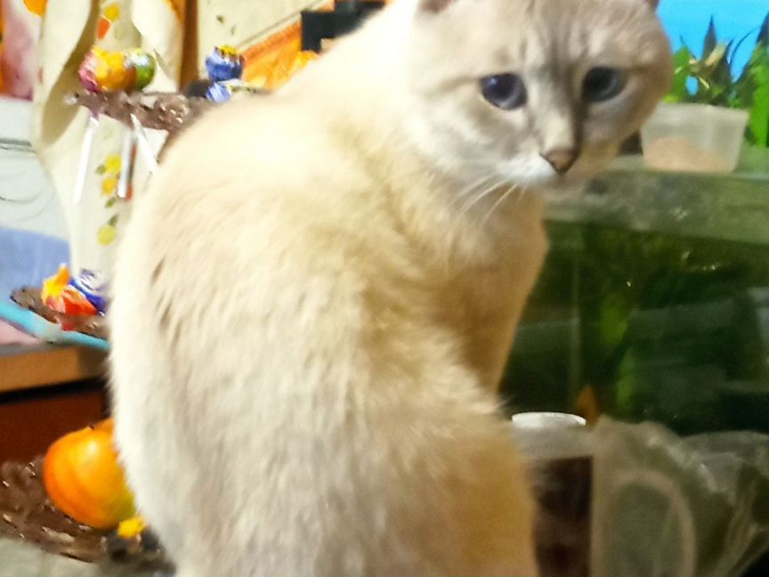 Тайская