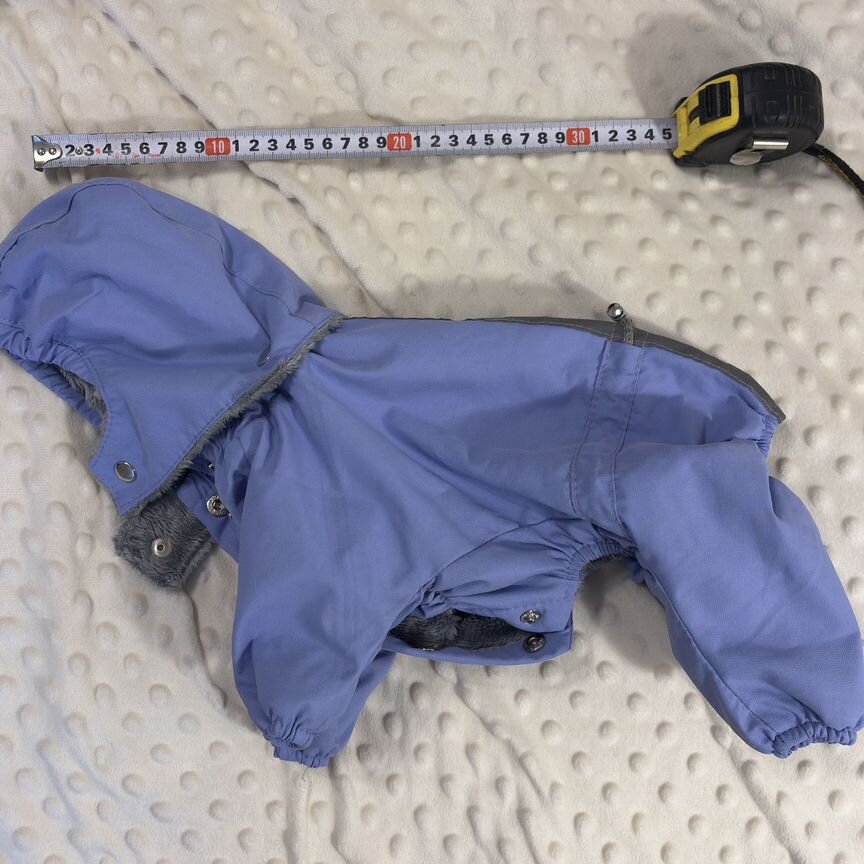 Одежда для собак