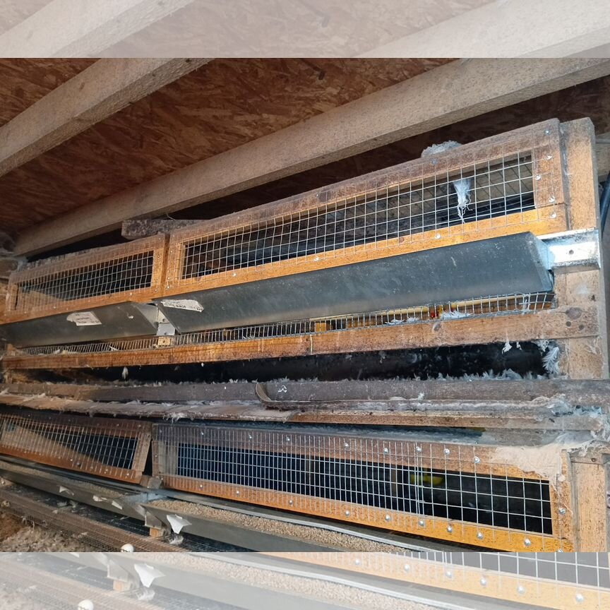 Мини ферма для птицы