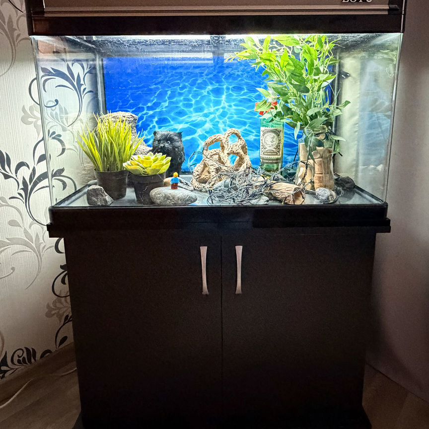 Панорамный аквариум с тумбой, светом и фильтрацией