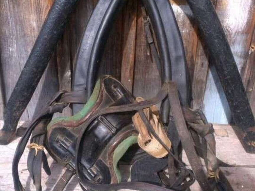 Снаряжение для лошади