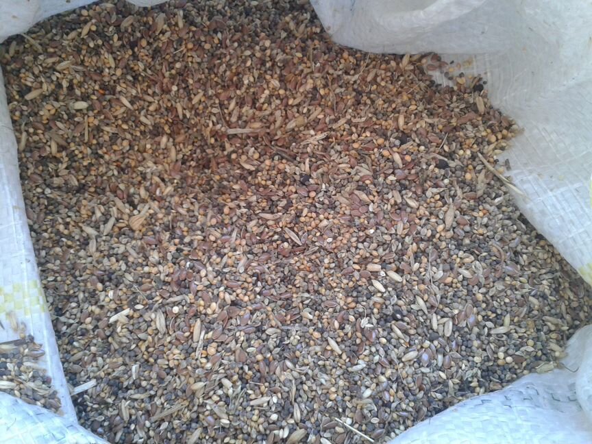 Корм для кенаров и лесных певчих птиц