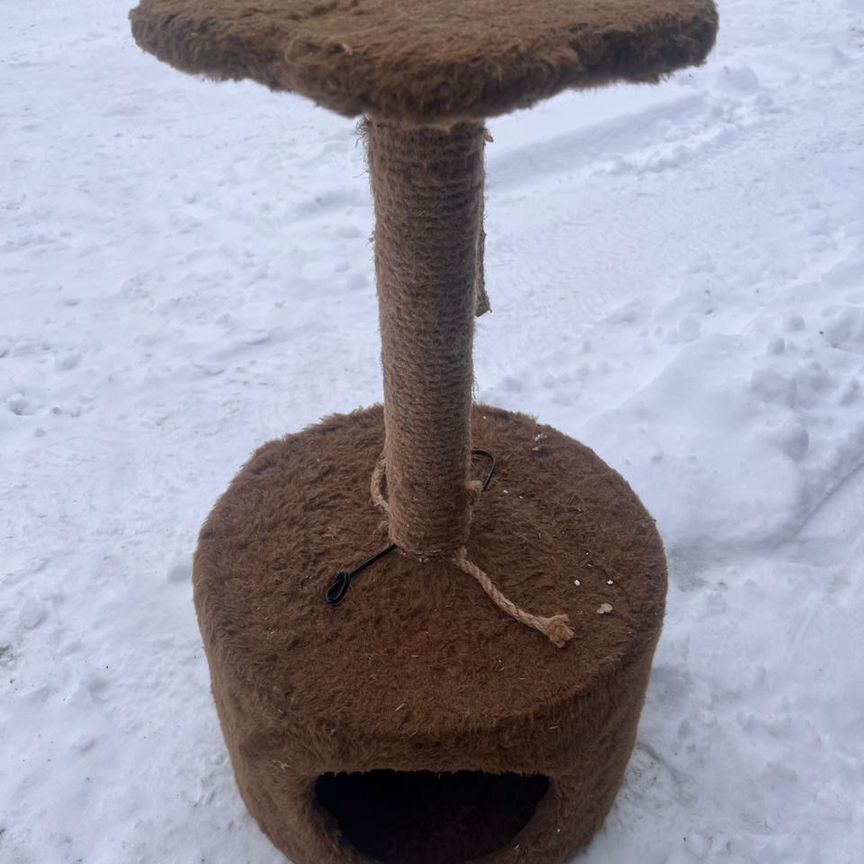 Когтеточка, кошкин дом