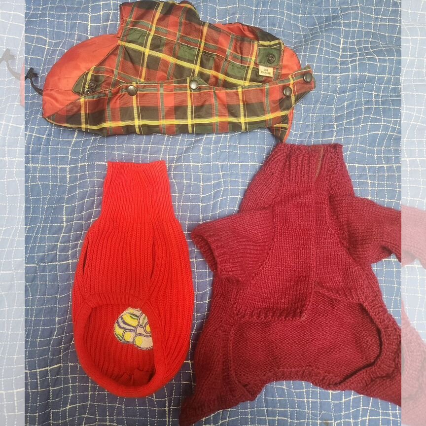 Одежда для маленьких собак пакетом