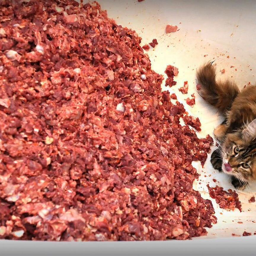 Помощь животным