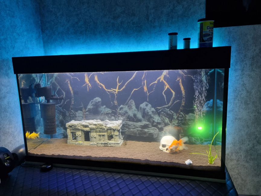 Аквариум на 300 литров