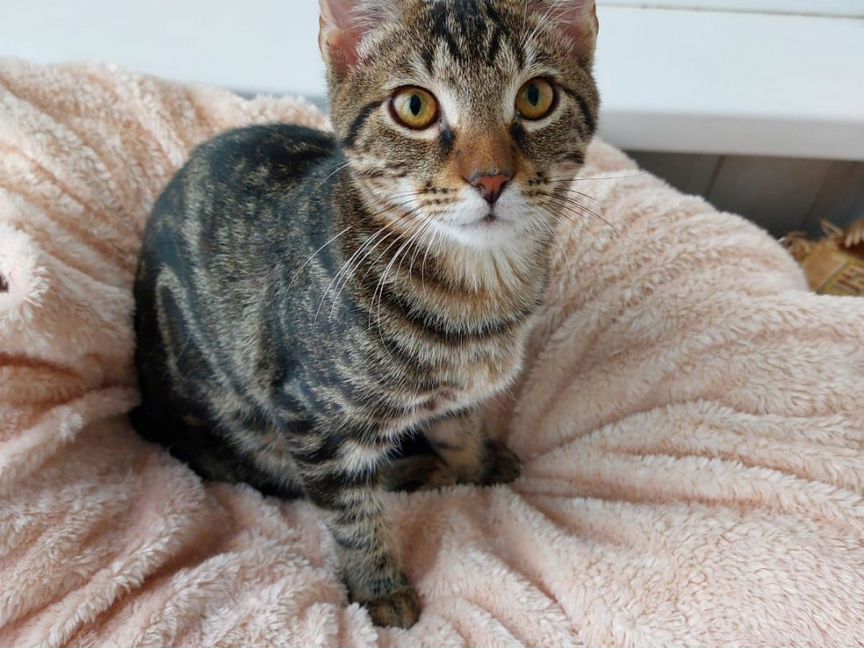 Самый добрый мальчик Бонечка