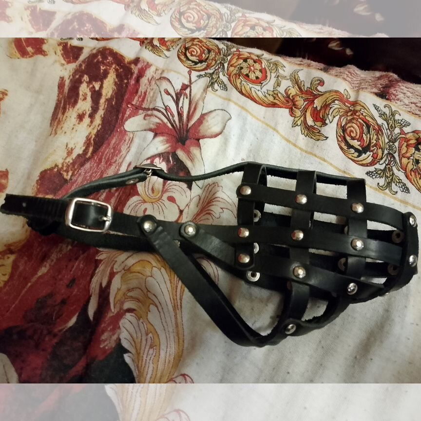 Намордник для собак