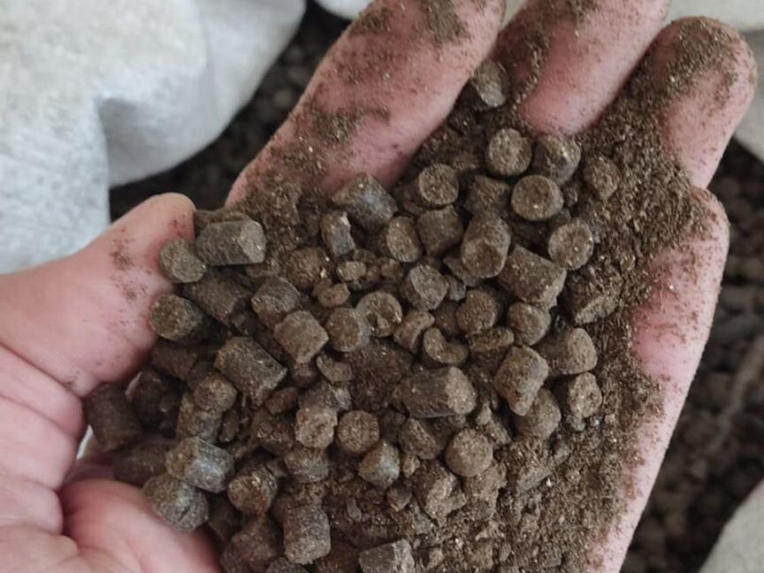 Шрот рапсовый-протеин 39