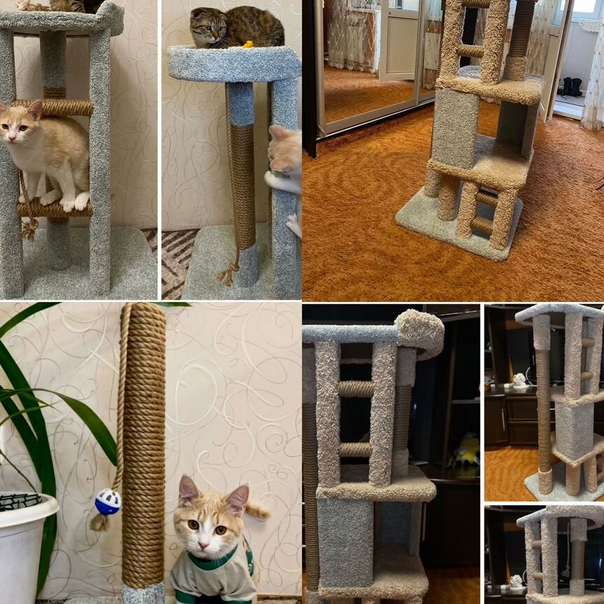 Домики, когтеточки