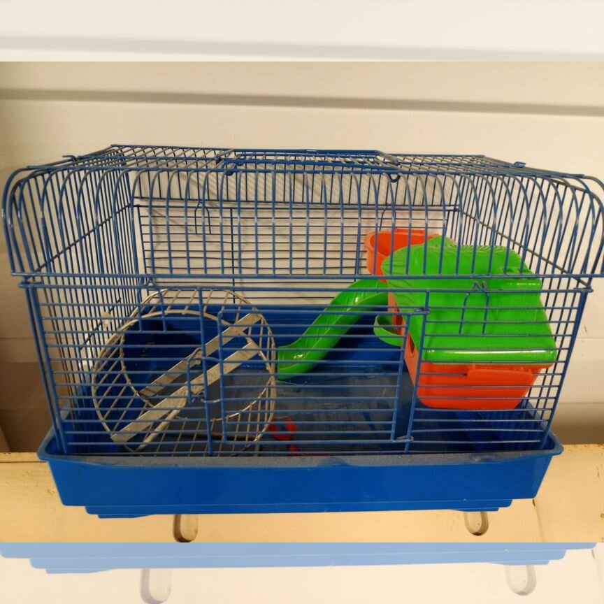 Клетка для джунгарского хомяка