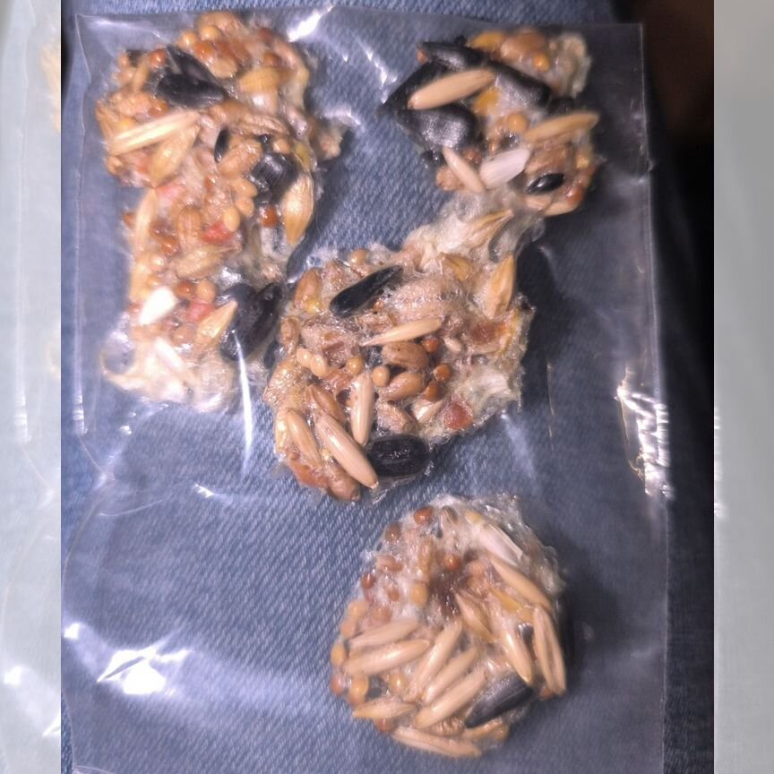 Печенье для грызунов, хомячков