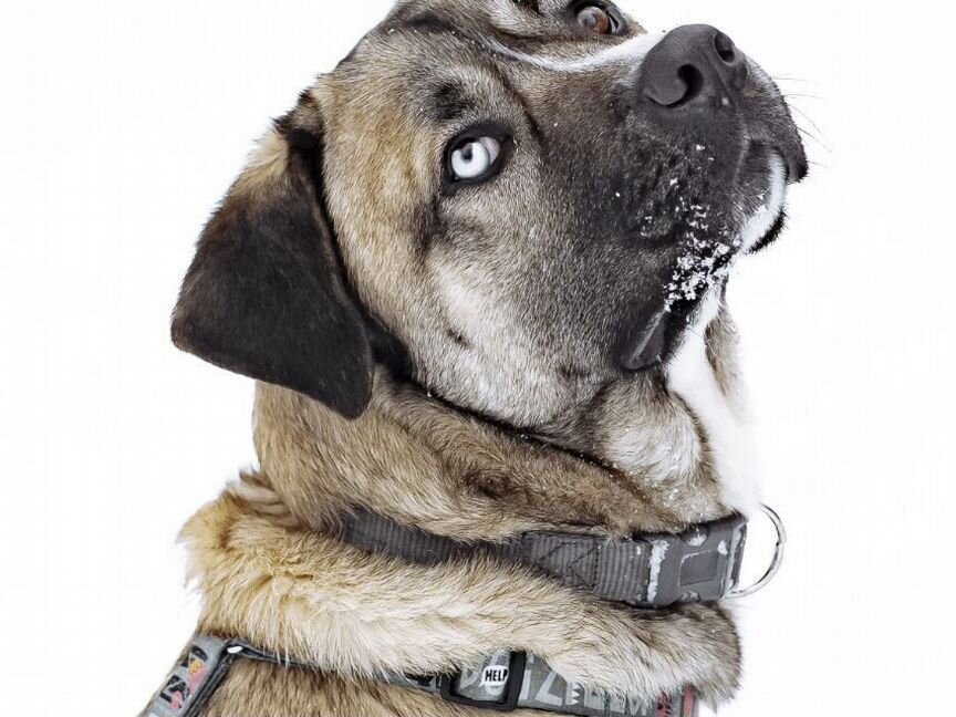 Нежный и социальный мальчик