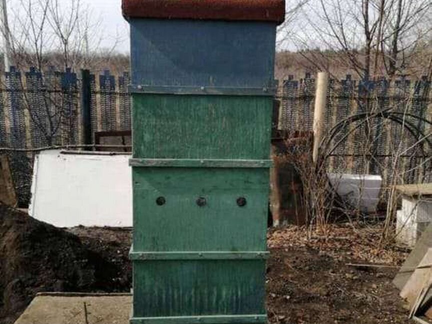 Ульи