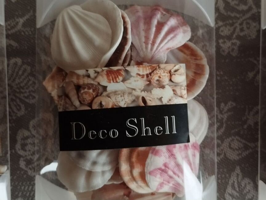 Морские ракушки раковины, звезда