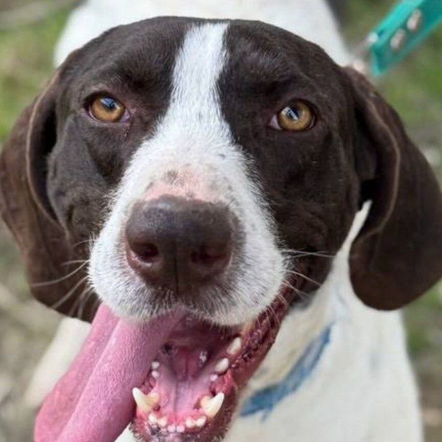 Юра ждет семью