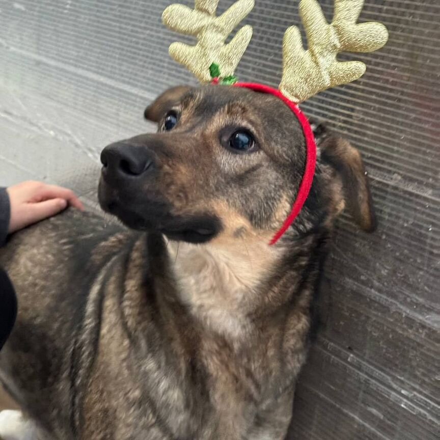 Нежная малышка Лили