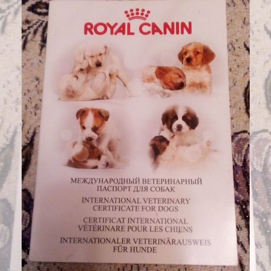 Ветеринарный паспорт