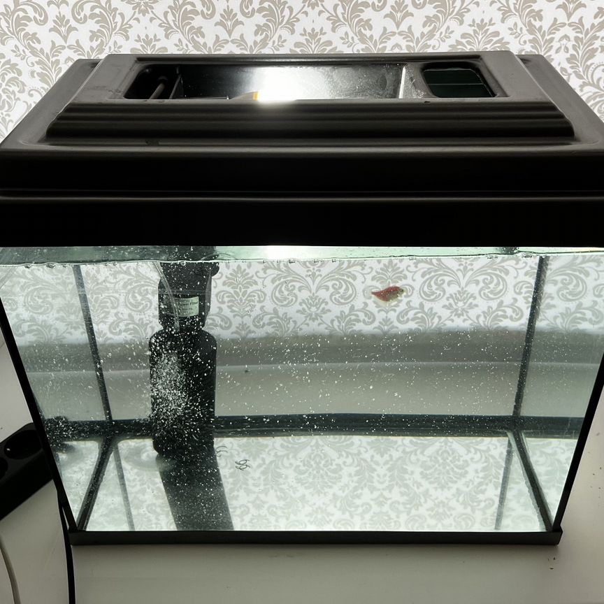 Аквариум 40л с рыбками