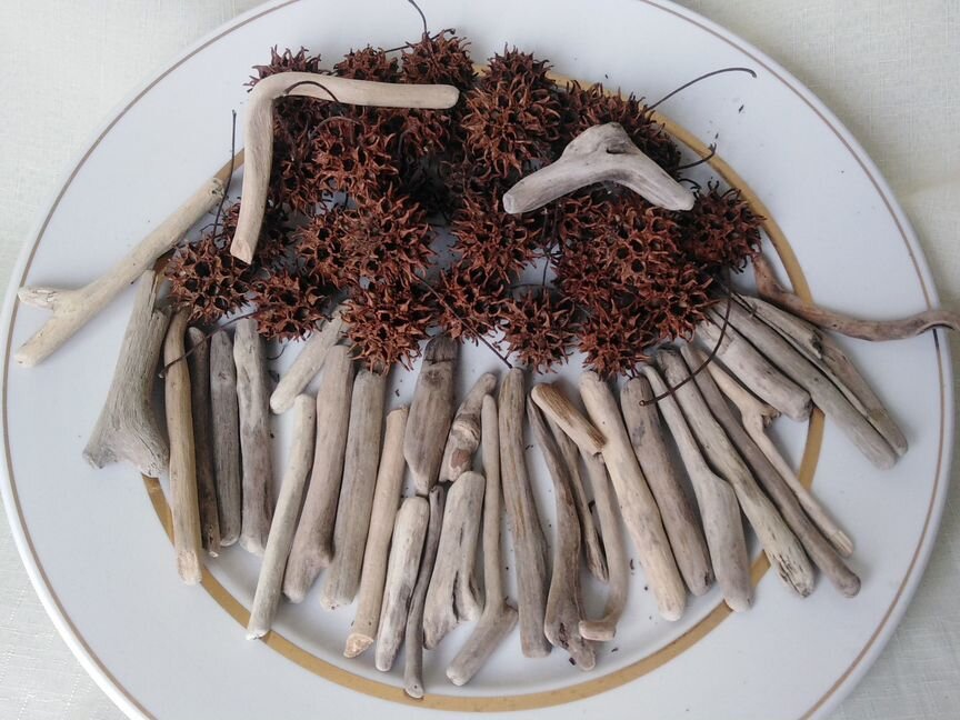 Дрифтвуд + шишки амбрового дерева