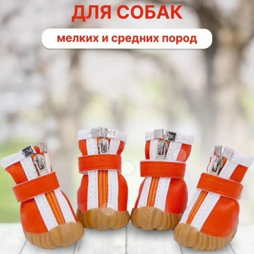 Ботиночки для собак демисезонные