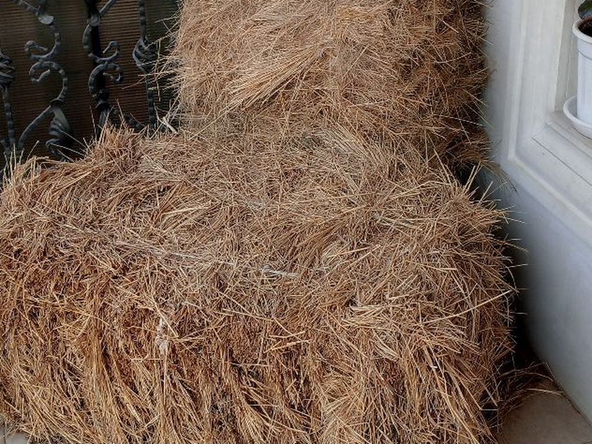 Солома сено отдам