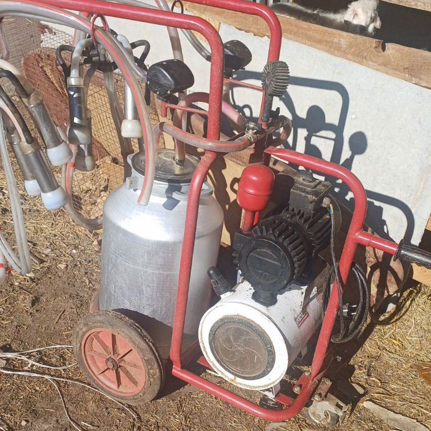 Доильный аппарат на 2 коровы