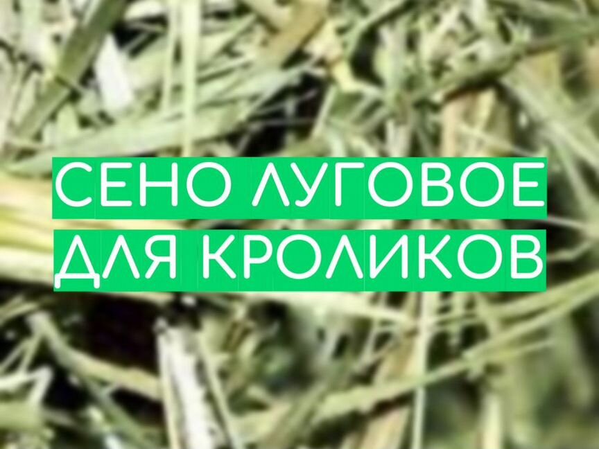 Сено луговое для кроликов и грызунов
