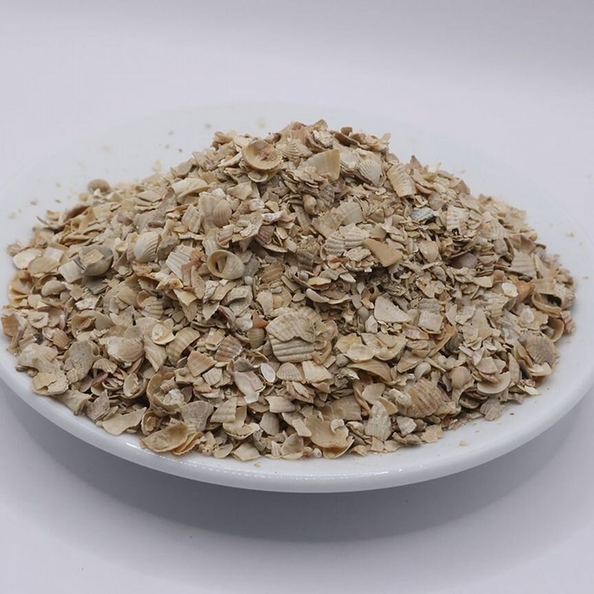 Ракушка морская кормовая
