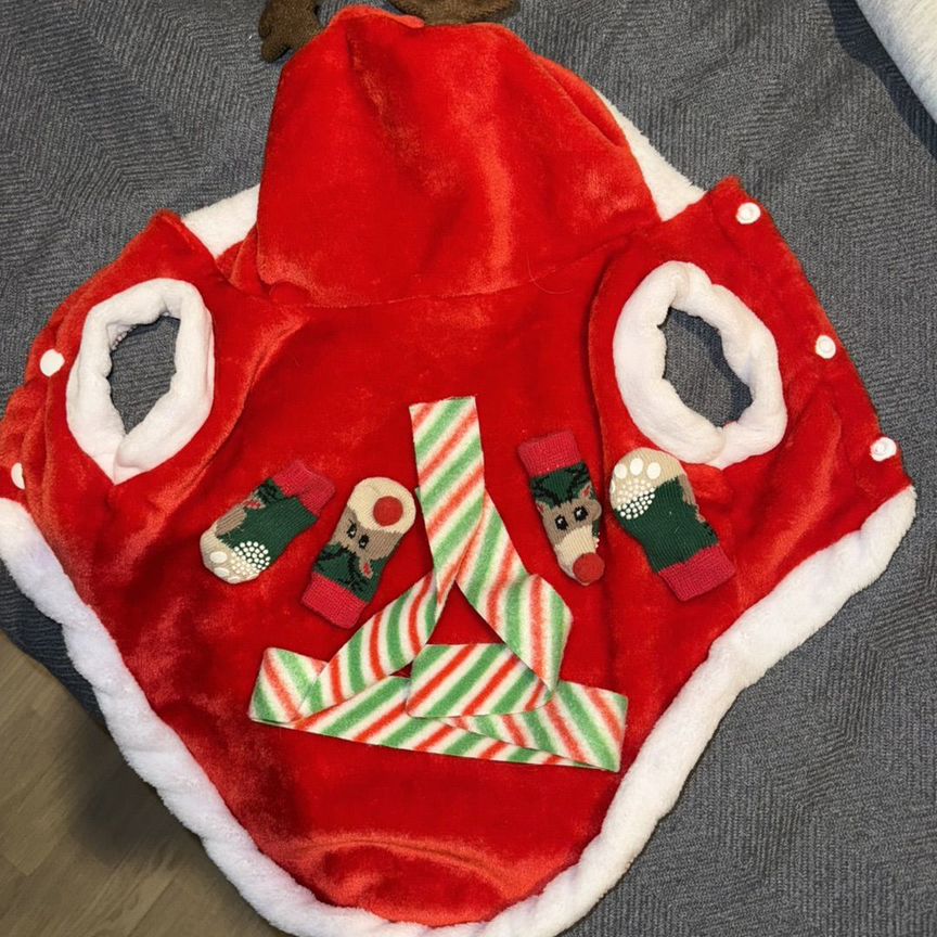 Новогодний костюм для маленьких собак