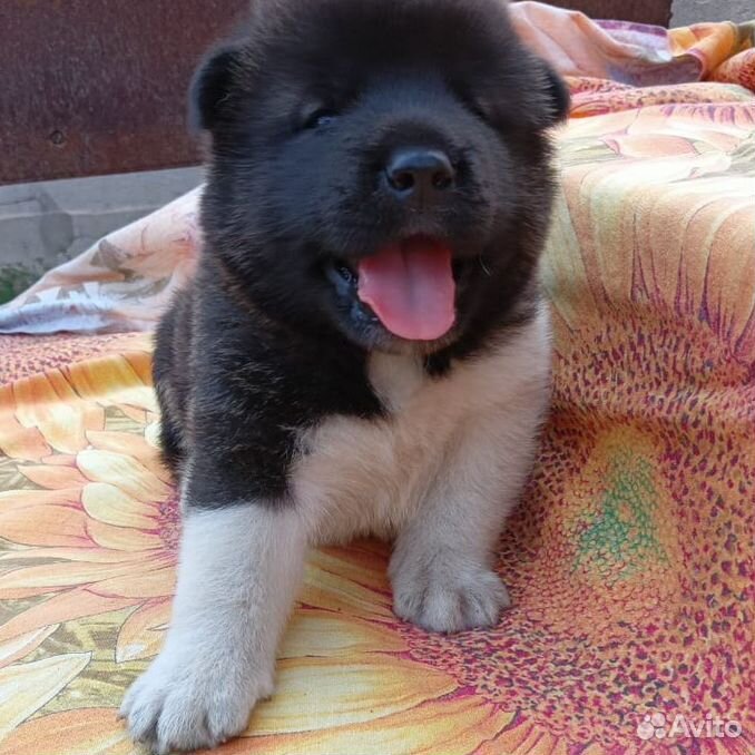 Мальчики американчики