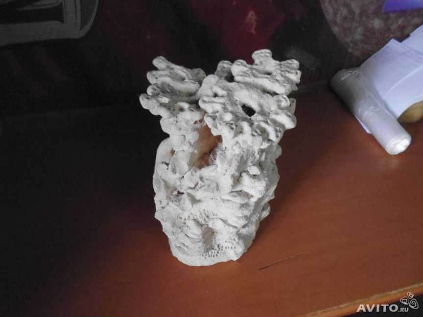 Продам искусственный коралл