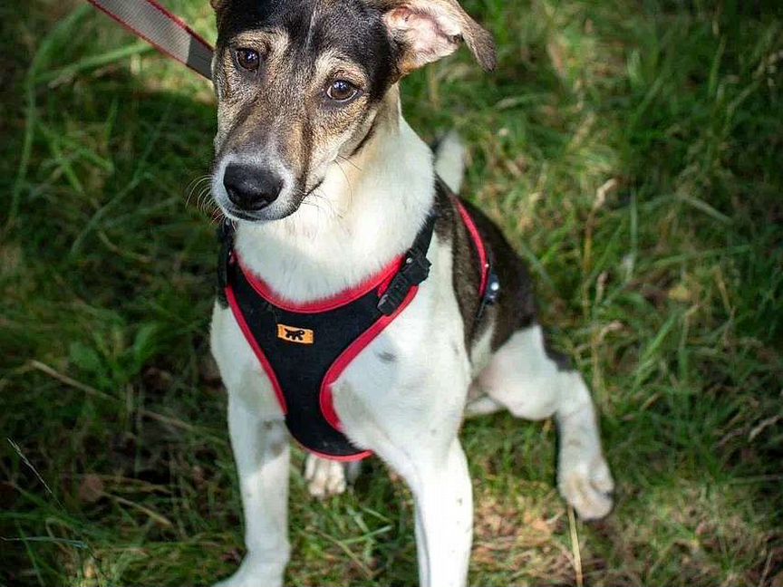 Майкл 8 месяцев мечтает о доме