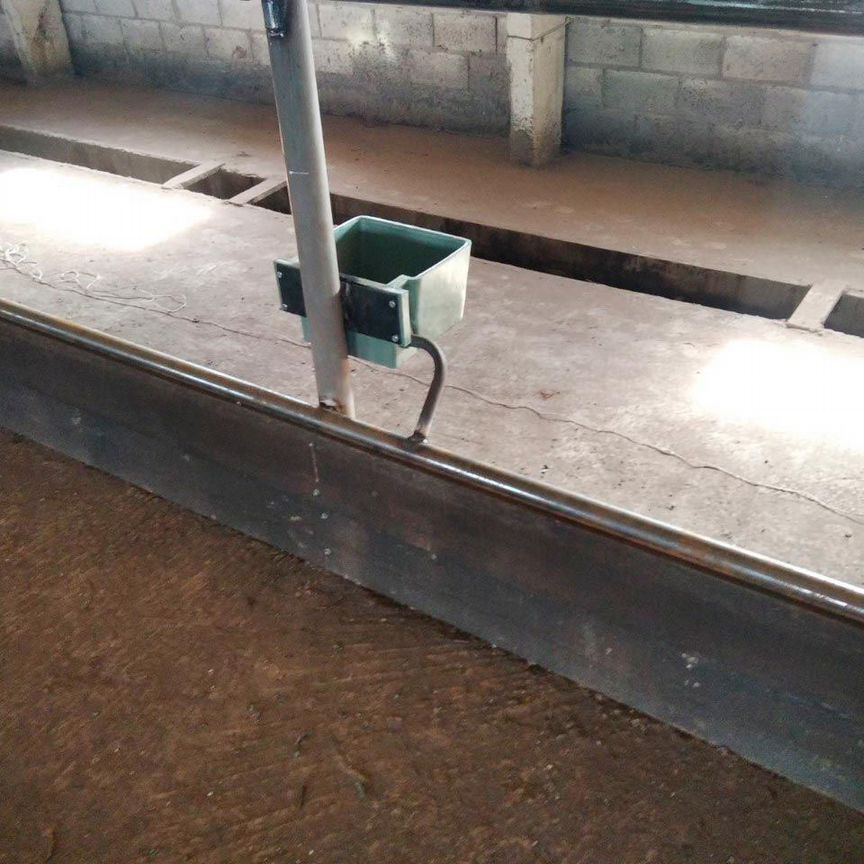 Поилки песчано-полимерные крс