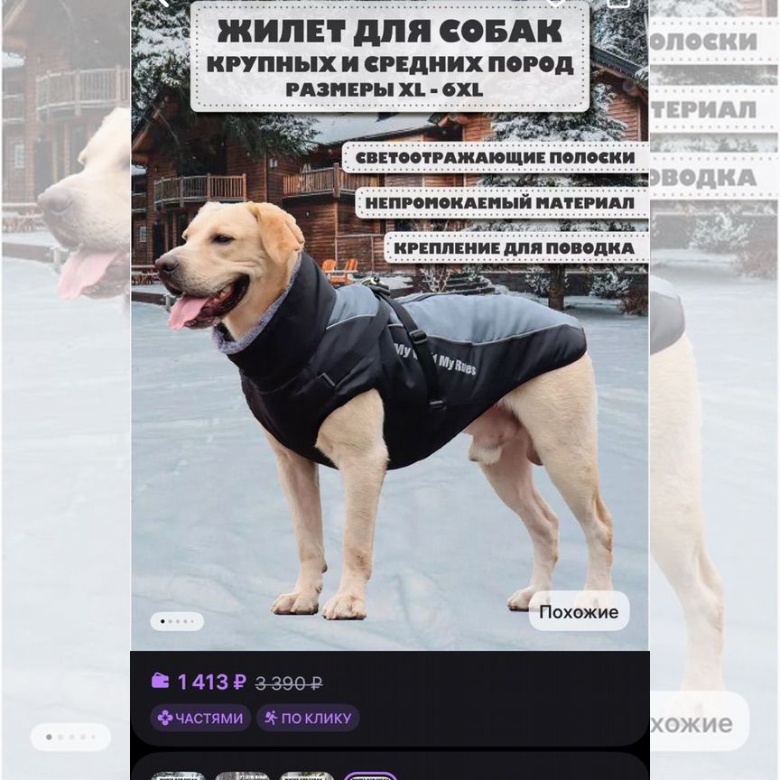 Жилет, ботинки для собак