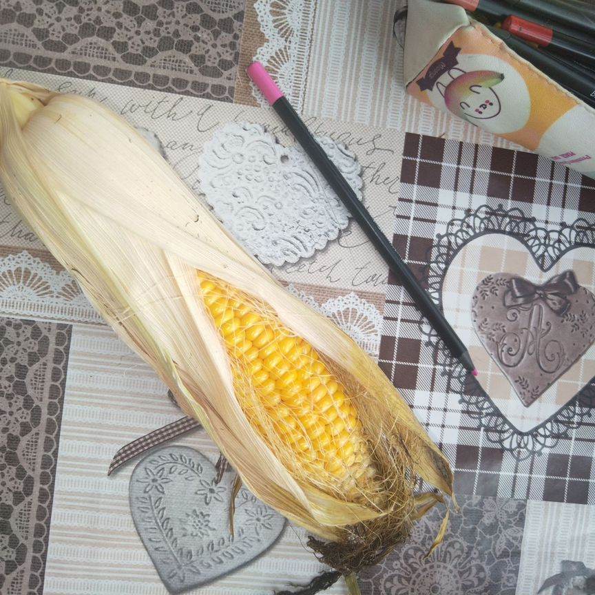 Кукуруза кормовая переспелая