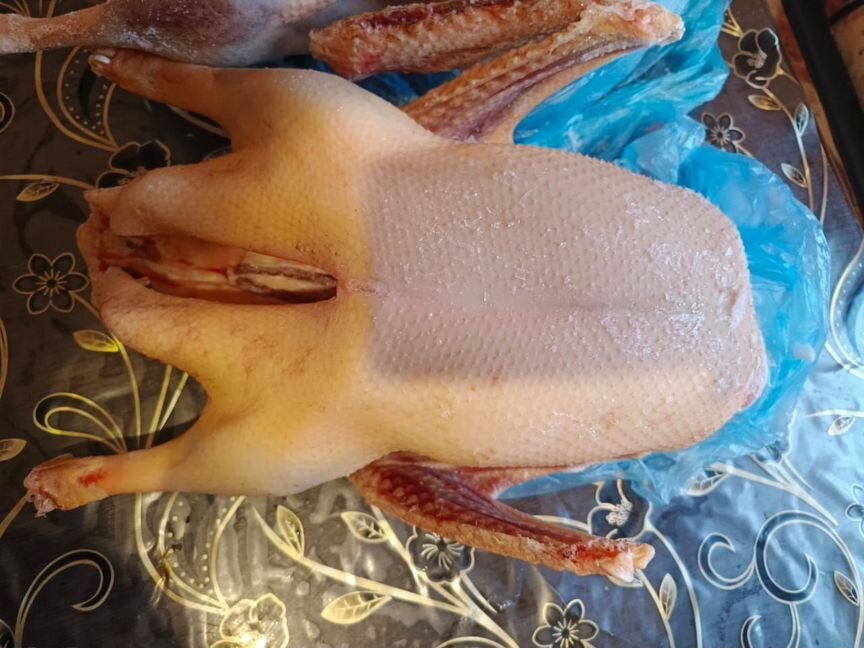 Гусиное мясо