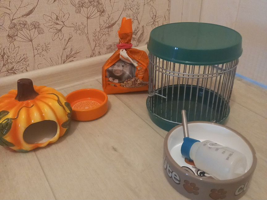 Для хомяка вещи