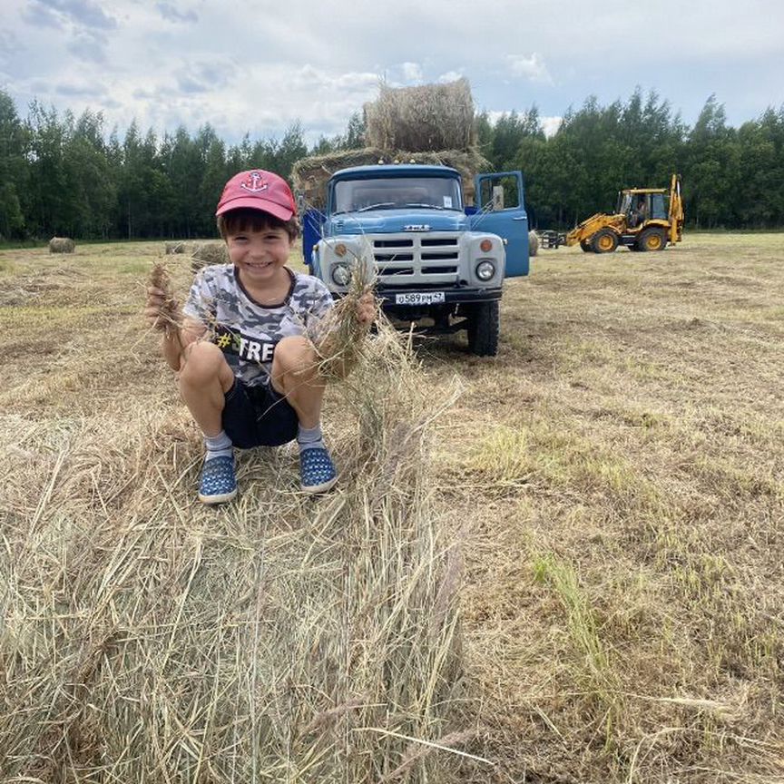 Продажа сена в рулонах