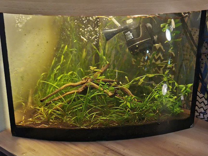 Аквариум угловой