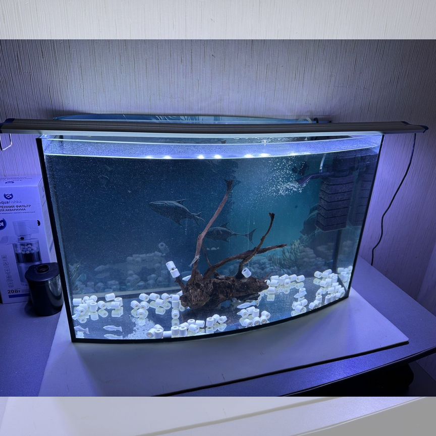 Аквариум телевизор
