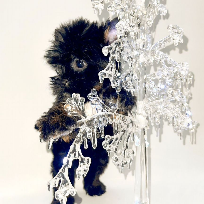 Микро мальчик-уголек