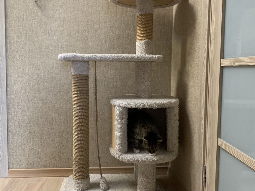 Стойка для кошки с когтеточкой