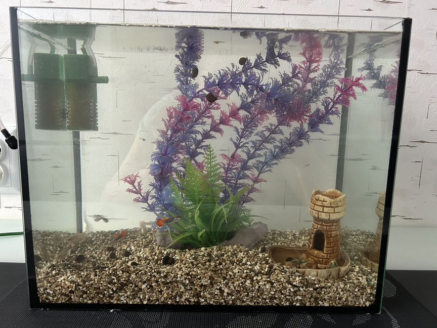 Аквариум с рыбками