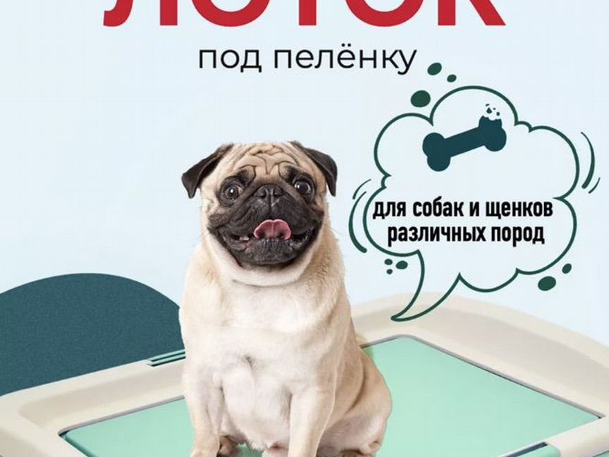 Туалет для собак под пеленку