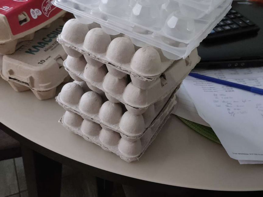 Ячейки для перепелиных яиц