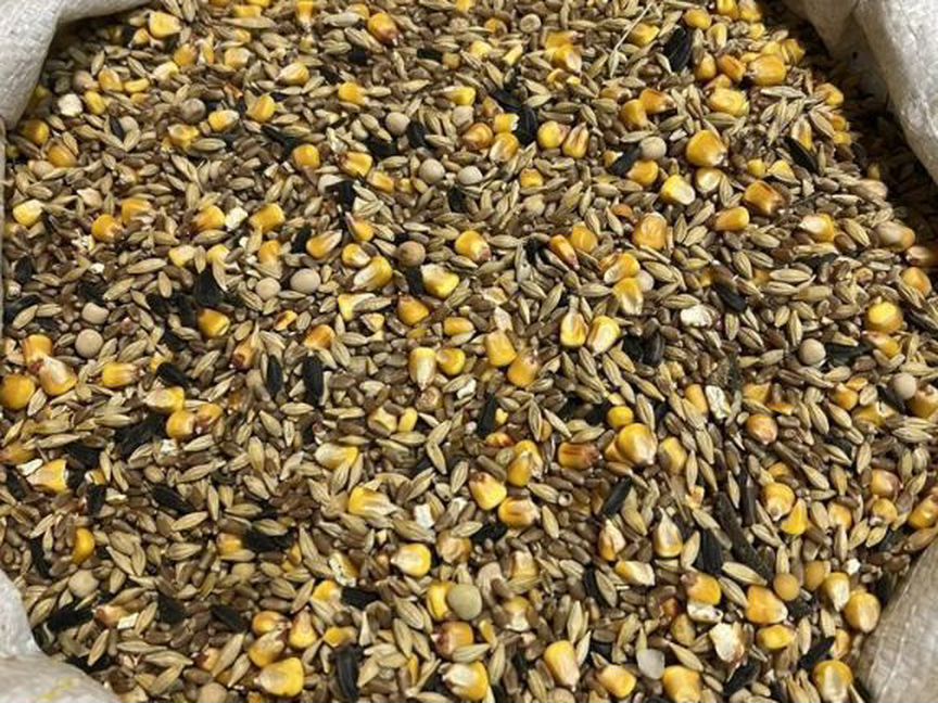 Зерносмесь